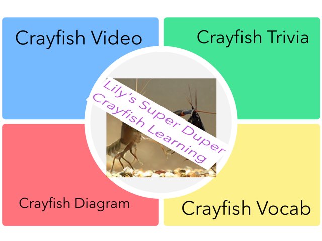 Lily's Super Duper Crayfish Learning! Free Activities online for kids ...