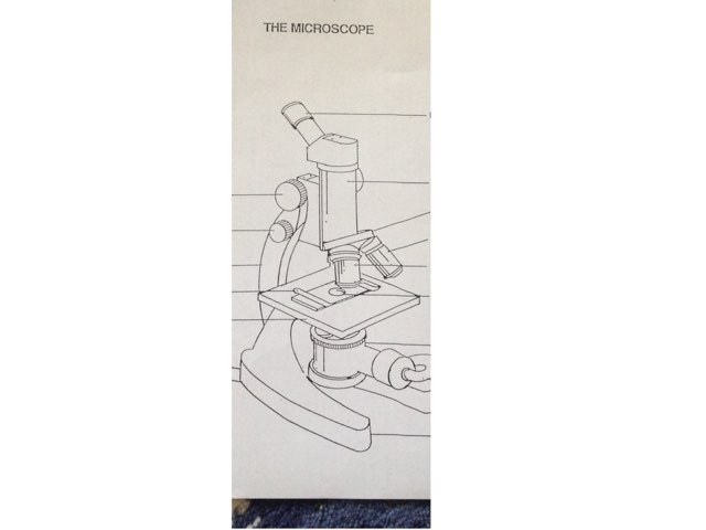 Microscope Free Games online for kids in Nursery by Pat De