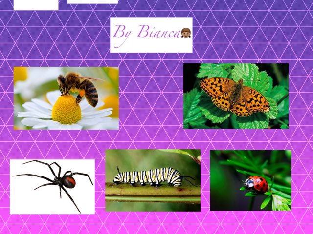 Minibeast Game Free Games | Activities | Puzzles | Online for kids ...