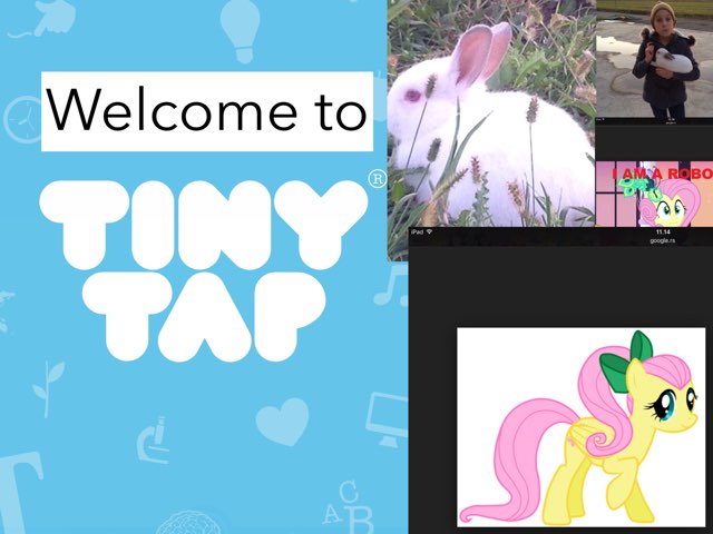 Mlp Free Activities online for kids in 2nd grade by Vanja antić