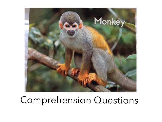 Monkey Comp. Questions LLI HCPSS Free Games online for kids in Nursery ...