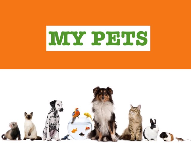 My Pets Free Games online for kids in Nursery by Elena Campillo Dominguez