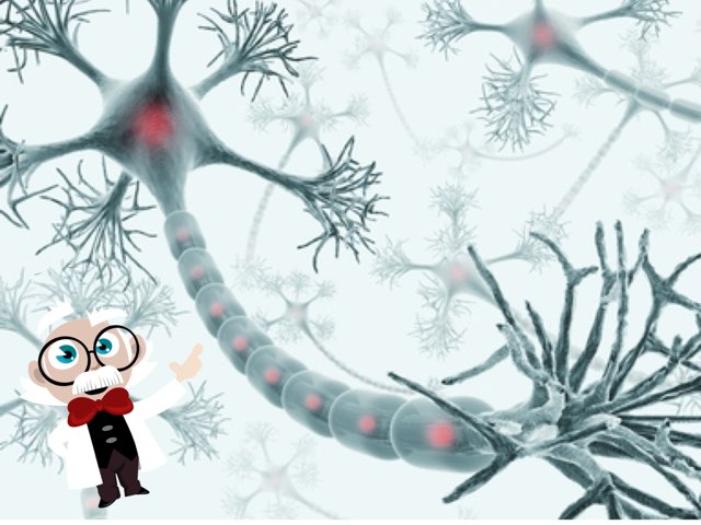 Neuron Sample Game Free Games online for kids in Nursery by Jessica Preisig