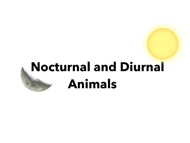 Nocturnal And Diurnal Animals Free Games online for kids in Pre-K by Y5 RA