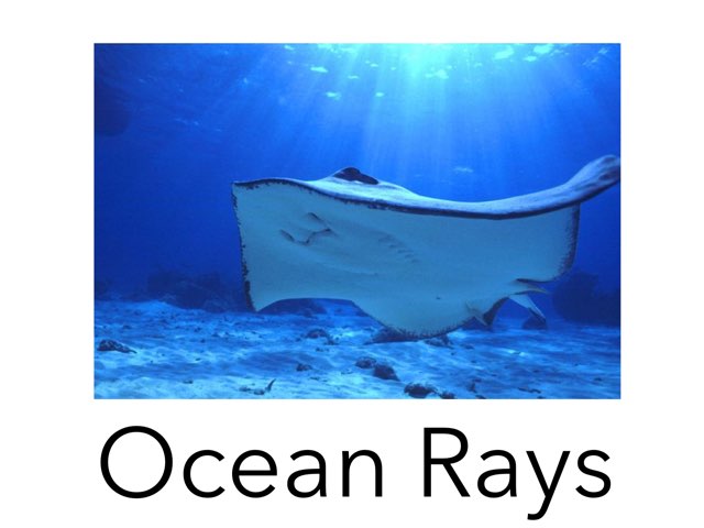Ocean Rays Free Games | Activities | Puzzles | Online for kids ...