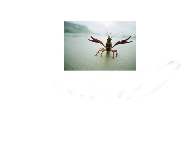 Owens Crayfish Game Free Activities online for kids in 7th grade by ...