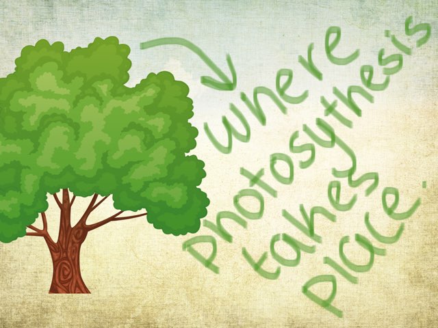 Photosynthesis Game Free Games online for kids in Nursery by Nicole ...