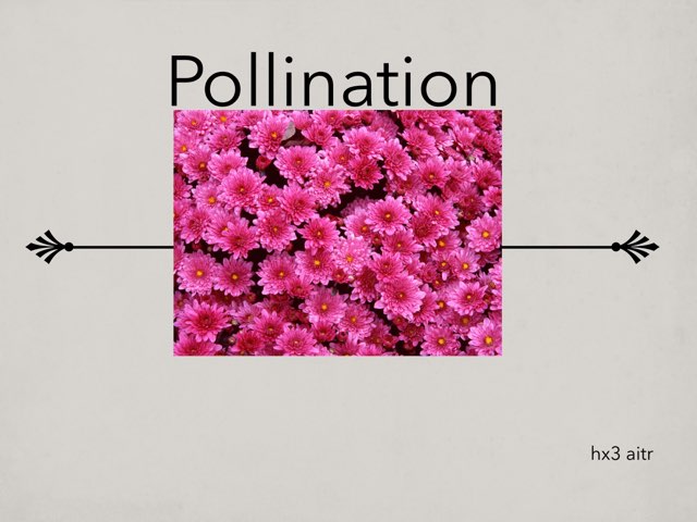 Pollination Quiz Free Games online for kids in Nursery by hx3 aitr