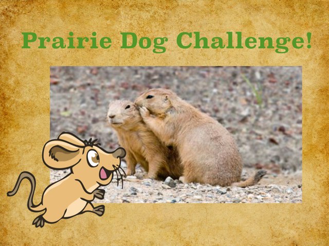Prairie Dogs Free Activities online for kids in 2nd grade by Joanne Hwang