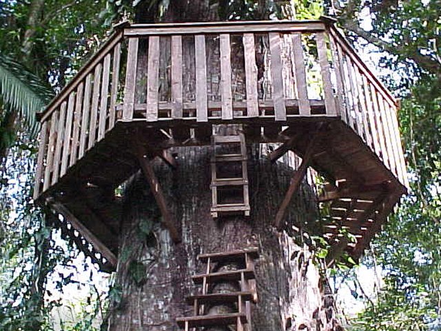 Proactive For IMPOSSIBLE CHALLENGE Free Activities online for kids in ...