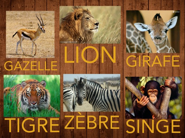 Puzzle Animaux Free Activities online for kids in Kindergarten by Marie ...