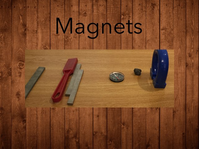 Raina's Magnet Game Free Activities online for kids in 3rd grade by ...