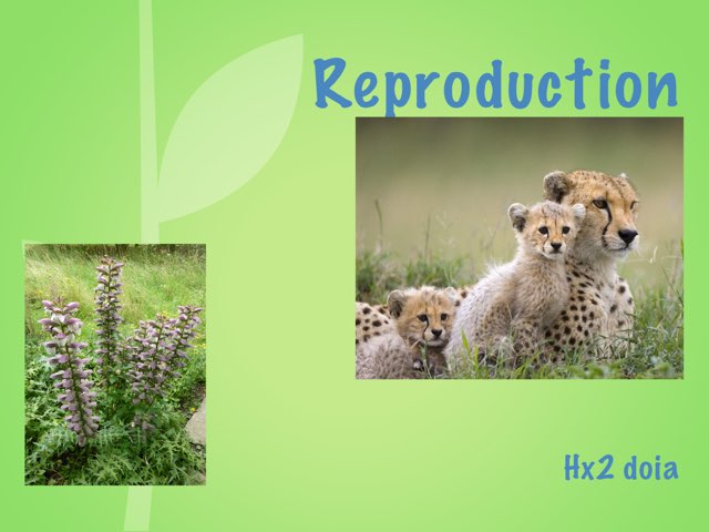 Reproduction Free Games online for kids in Nursery by hx2 doia