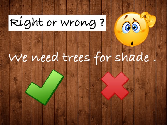 Right Or Wrong Free Activities online for kids in 3rd grade by Mazen ...