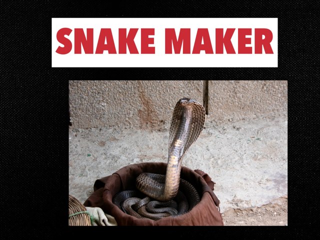 SNAKE MAKER Free Activities online for kids in 1st grade by Anurag Simha