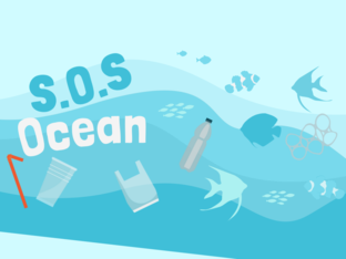 S.O.S Ocean Free Activities online for kids in 9th grade by Gabriel Marcon