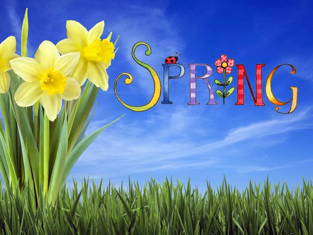 SPRING Free Activities online for kids in Kindergarten by Amelia Hussain