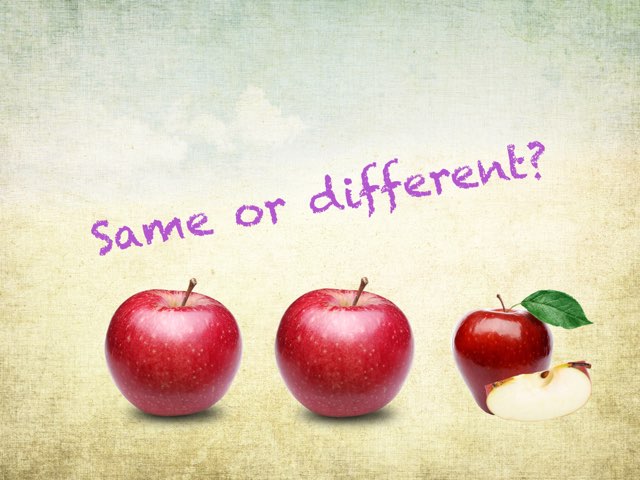 Same Or Different Free Games | Activities | Puzzles | Online for kids ...