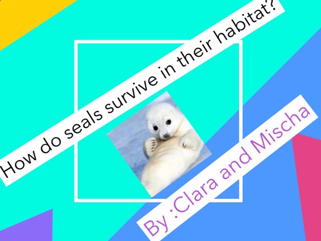 Seals Free Games online for kids in Nursery by Jane Miller _ Staff ...