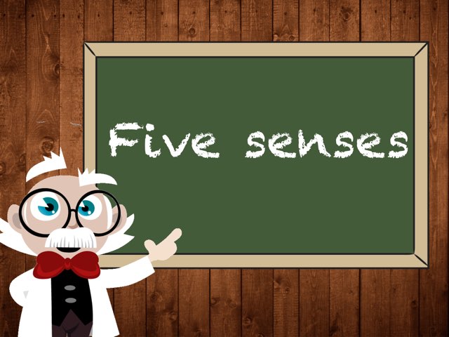 Sense Free Activities online for kids in Kindergarten by 김승 장