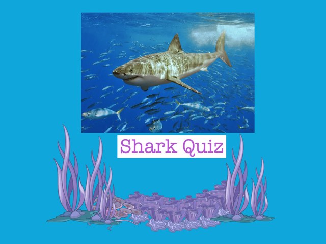 Shark Trivia Copy Free Games online for kids in Nursery by Linda Lonergan
