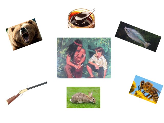 Sign of the Beaver quiz Free Activities online for kids in 3rd grade by ...