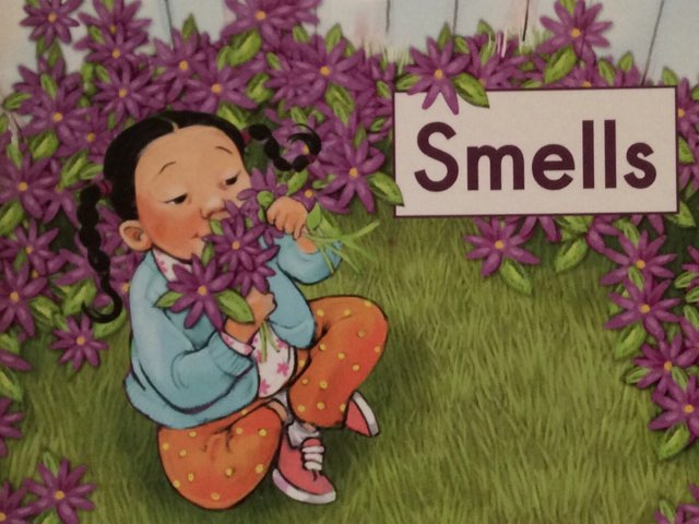 Smells Vocab HCPSS LLI Green Book 14 | Online Activities | General ...