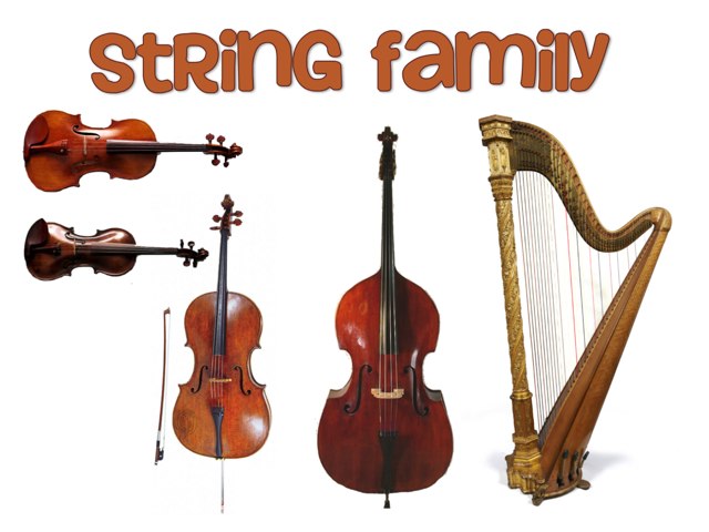 Strings Family Worksheet - Reverin