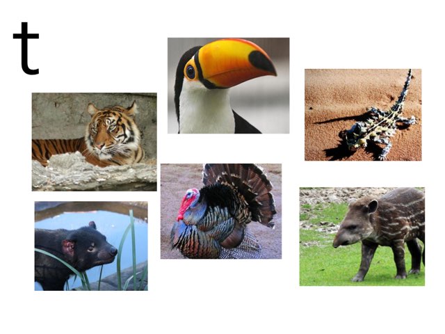 T Animals Free Games online for kids in Nursery by Beaufort school