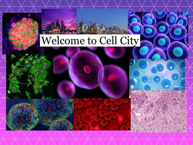 Take A Tour Around Cell City Free Games online for kids in Nursery by ...