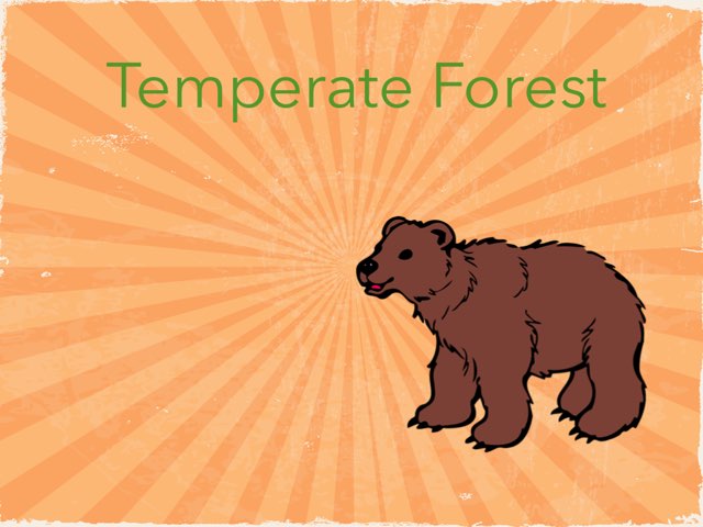 Temperate Forest Free Activities online for kids in 3rd grade by ...