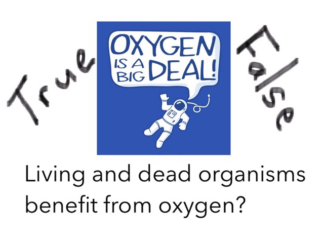 Test Free Games online for kids in Nursery by Jeff Monteith