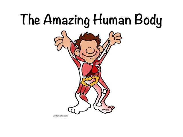The Amazing Human Body Free Games online for kids in Nursery by Tara Parra