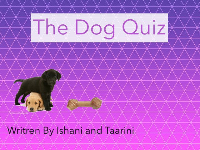 The Dog Quiz Free Activities online for kids in Kindergarten by Ishani ...