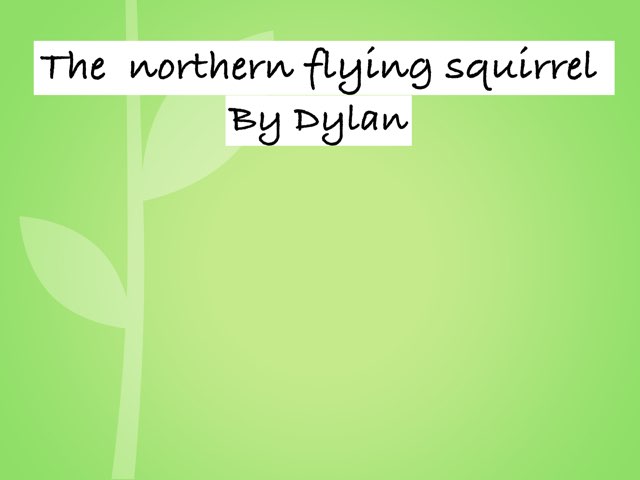 The Northern Flying Squirrel Free Activities online for kids in 4th ...