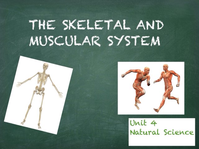 The Skeletal And Muscular System Free Activities online for kids in 2nd ...