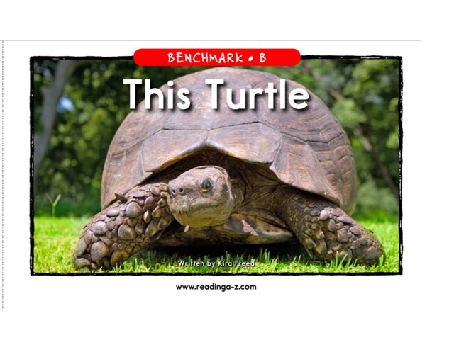 This Turtle Comprehension Free Games online for kids in Nursery by iat ...