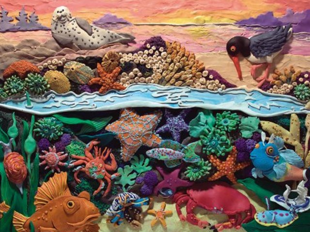 Tide Pool Free Activities online for kids in 1st grade by Jeanine Wolf