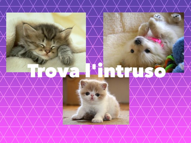 Trova L'intruso Free Games online for kids in Nursery by Irina Nazarov