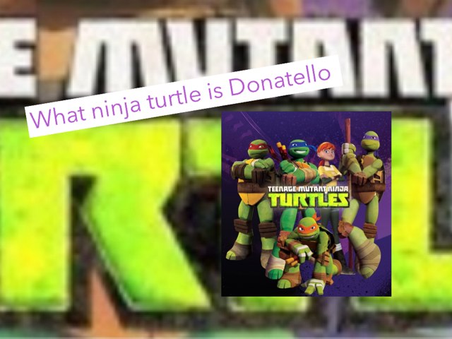 Turtle Game Free Games online for kids in Nursery by Sydney Rosciti