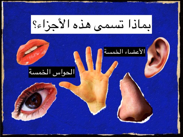 الجهاز العصبي ألعاب اونلاين للأطفال في الصف الثاني الخاصة به Mimi Imim