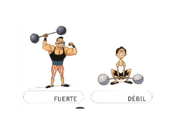 Conceptos Básicos Fuerte-débil Juegos online gratis para niños en ...