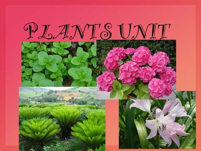 Plants Unit 5º Primary Free Activities online for kids in 5th grade by ...