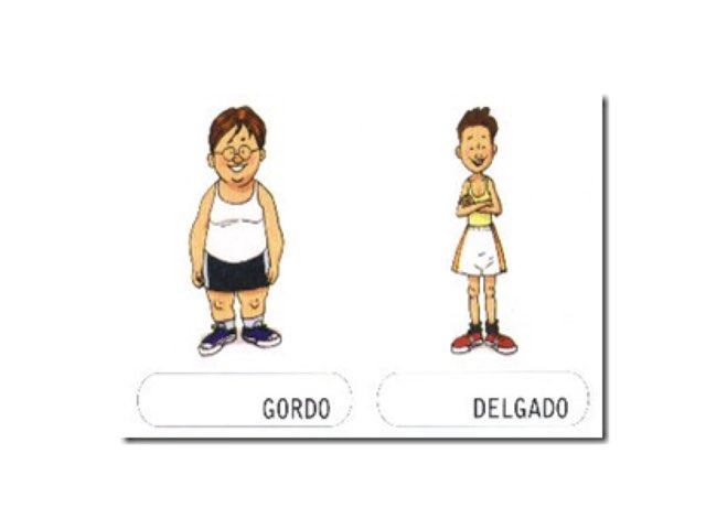 Fichas De Conceptos De Grueso Y Delgado Para Pintar Imagui Porn Sex Picture