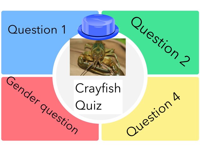 Christopheres Crayfish Game Free Games online for kids in Nursery by ...