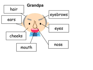 Unit 4 - facial features Free Activities online for kids in 1st grade ...