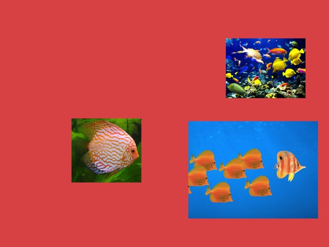 Vis Gratis online spellen voor peuters (2-3 jr.) door Ineke van der Heijden