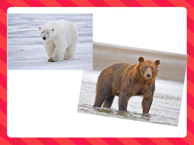 What Color Do You See? Free Games | Activities | Puzzles | Online for ...