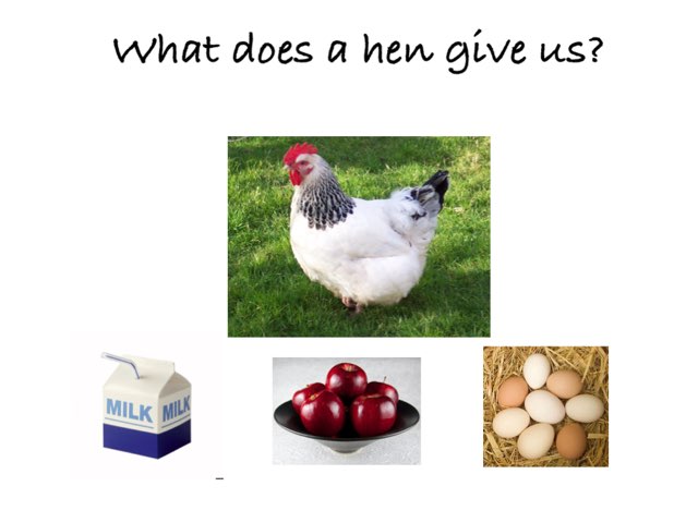 What Does An Animal Give Us? Free Activities online for kids in 2nd ...