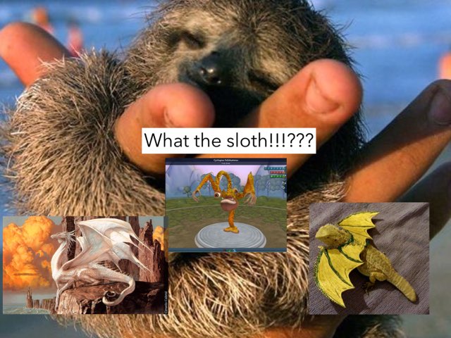 What The Sloth? Free Games online for kids in Nursery by Joshua Murphy